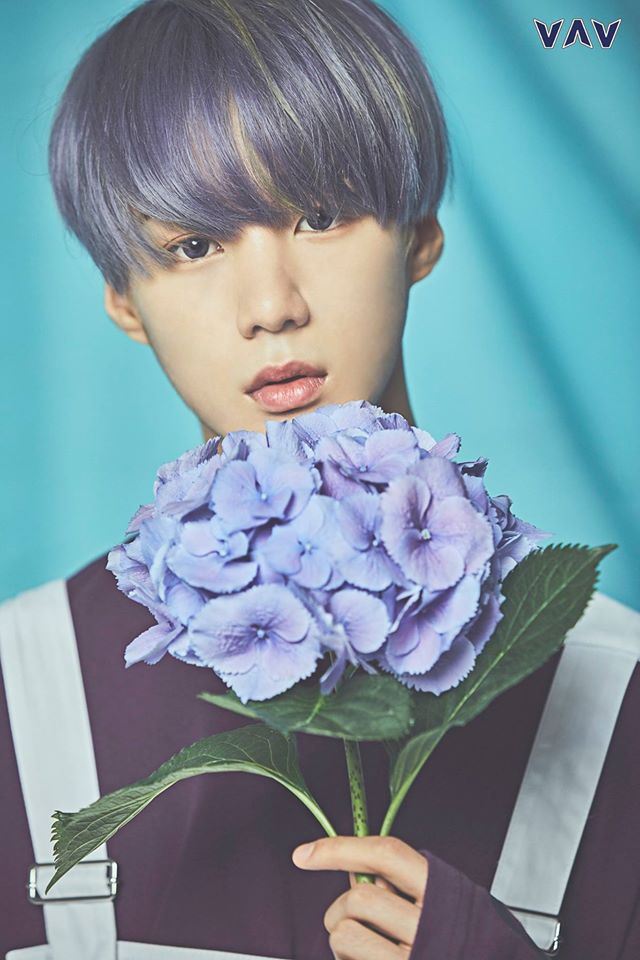 vav ayno – KSTATION TV