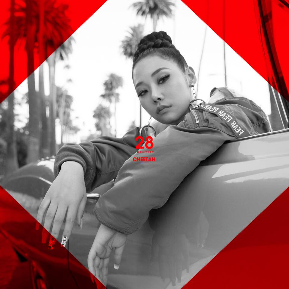 cheetah 1 – KSTATION TV