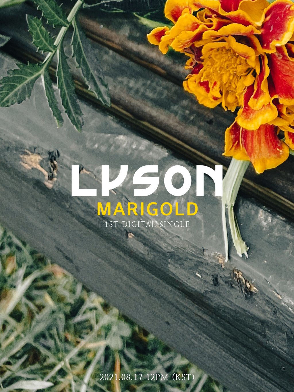 Lyson 3 – KSTATION TV