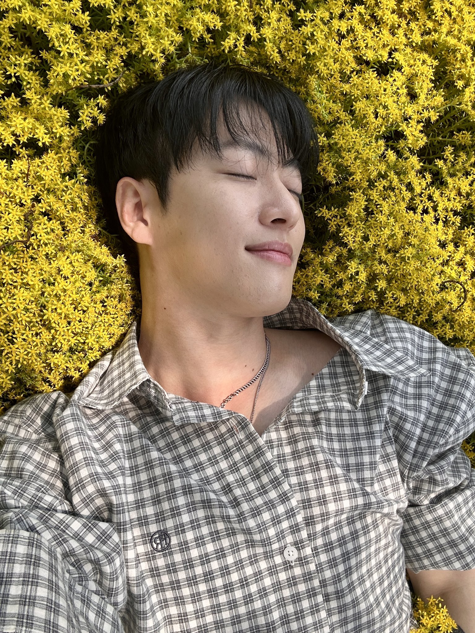 FEELDOG – KSTATION TV